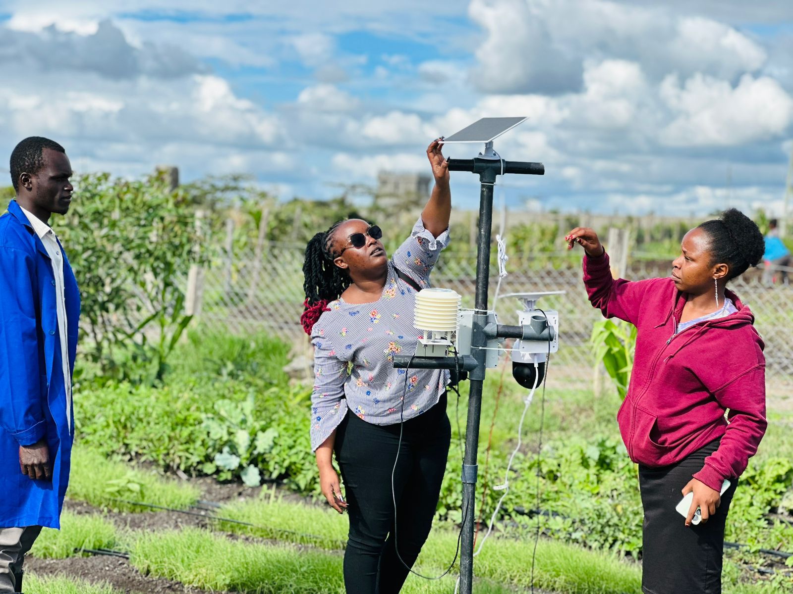 Onion Doctor Limited - KCIC Consulting